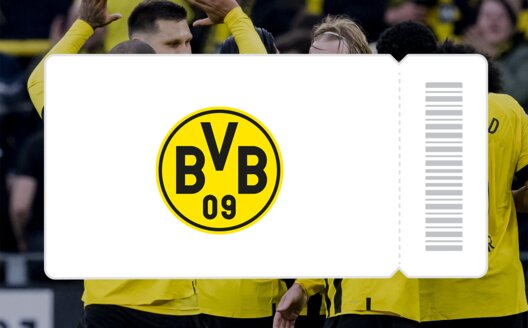 VIP-Dauerkarte - BVB