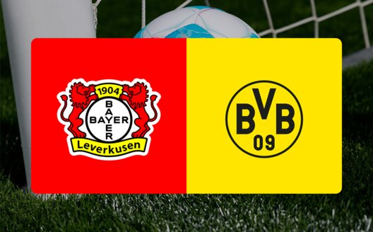 VIP-Dauerkarte - BVB