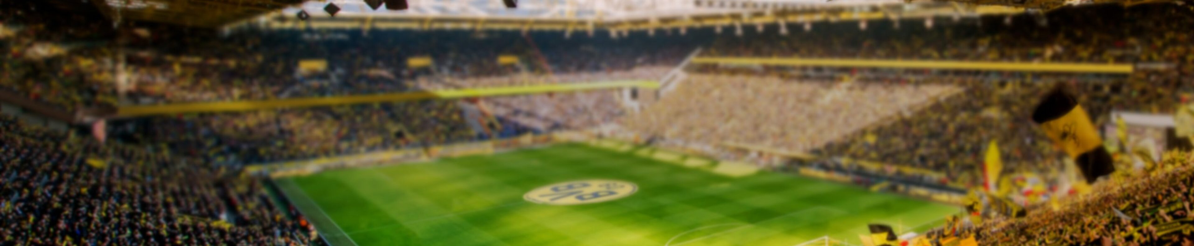 VIP-Dauerkarte - BVB