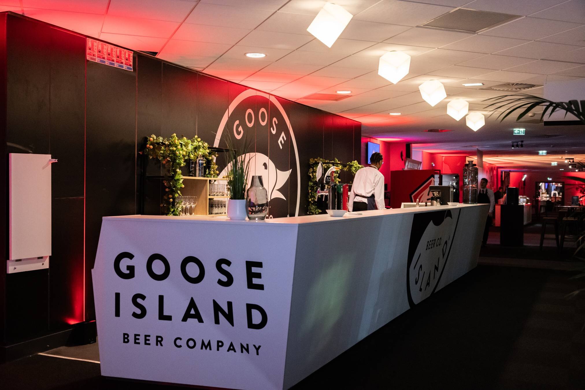 Abonnement VIP LOSC Lille - Saison 2025/2026