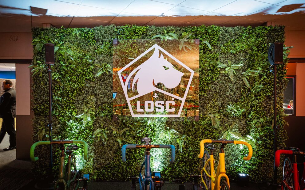 Abonnement VIP LOSC Lille - Saison 2025/2026
